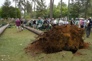 Play Suspended at 2023 Masters Tournament after Massive Trees Fall into ...